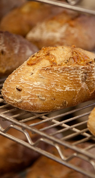 Pleasanton Bakery: Bringing Back the Neighborhood Bakery | Bally Block Co